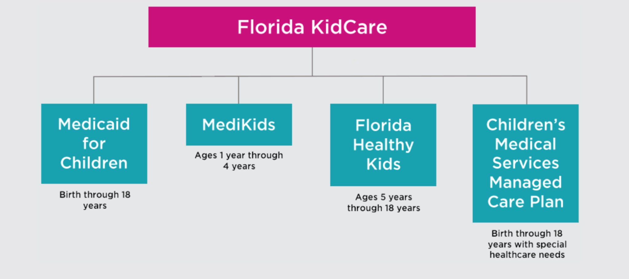 Children’s Health Care (Florida KidCare) - Community Legal Services